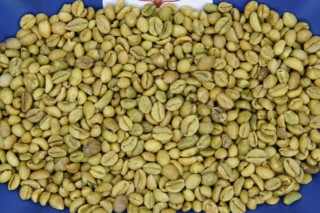 Excelsa Coffee - Cà phê từ vùng đất châu Phi