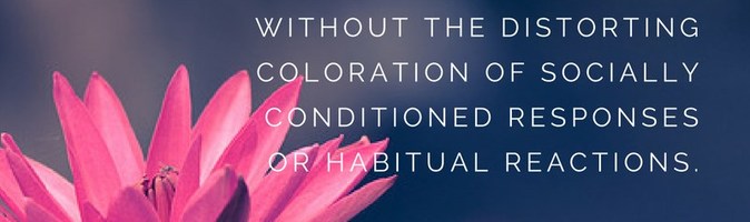 The Present Is A Gift