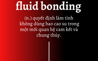 Sextionary: Fluid Bonding – trần trụi hơn, gắn kết hơn