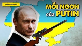 Spiderum - Mạng Xã Hội Chia sẻ Quan Điểm - Kiến Thức Hàng Đầu Việt Nam